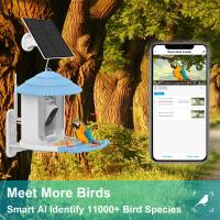 China IP66 Waterproof 4MP Smart Bird Feeder with 2.5L Capacity and Solar Panel for Wildlife Monitoring for sale