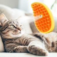 China Rechargeable Pet Hair Brush with Mist Spray and Self-Cleaning Function for Cats and Dogs for sale