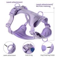 China Neoprene Personalized Dog Harness Leash Collar Set - Adjustable XS/S/M/L Sizes with Reflective Safety Strips for sale