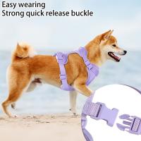 China Neoprene Personalized Dog Harness Leash Collar Set - Adjustable XS/S/M/L Sizes with Reflective Safety Strips for sale