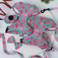 China Custom Dog Harness Leash Set with Sublimation Decoration - Adjustable Fit for Small to Large Pets, 100 Piece MOQ for sale
