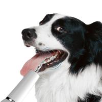 China 240V USB Rechargeable Ultrasonic Pet Tooth Cleaner with Multiple Intensity Settings - 2 Color Options for sale