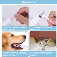 China 240V USB Rechargeable Ultrasonic Pet Tooth Cleaner with Multiple Intensity Settings - 2 Color Options for sale