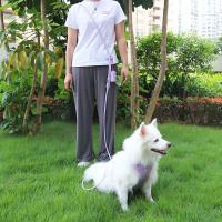 China Macaron PVC Slip Lead Dog Leash 2.4m × 6mm Waterproof Hands-Free Design with Adjustable Collar for sale