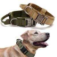 China Customizable Nylon Dog Training Collar & Leash Set - Heavy Duty 0.2kg Construction in M/L/XL Sizes for sale