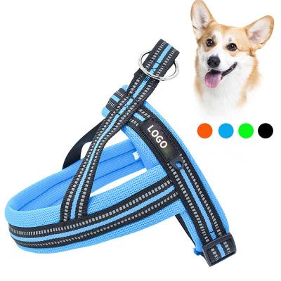 China Reflective Nylon Dog Harness & Leash Set with 2-2.5cm Width, XXS-XXL Sizes for Enhanced Night Visibility for sale
