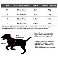 China Reflective Nylon Dog Harness & Leash Set with 2-2.5cm Width, XXS-XXL Sizes for Enhanced Night Visibility for sale