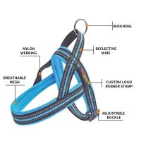China Reflective Nylon Dog Harness & Leash Set with 2-2.5cm Width, XXS-XXL Sizes for Enhanced Night Visibility for sale