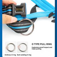 China Reflective Nylon Dog Harness & Leash Set with 2-2.5cm Width, XXS-XXL Sizes for Enhanced Night Visibility for sale