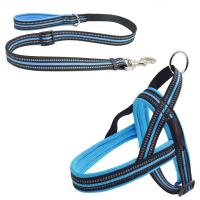 China Reflective Nylon Dog Harness & Leash Set with 2-2.5cm Width, XXS-XXL Sizes for Enhanced Night Visibility for sale