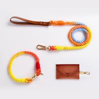 China Multicolor Cotton Rope Dog Leash Collar Harness Set 1.3cm x 120cm Heavy Duty Training Equipment for sale