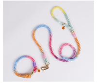 China Multicolor Cotton Rope Dog Leash Collar Harness Set 1.3cm x 120cm Heavy Duty Training Equipment for sale