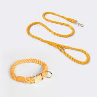 China Multicolor Cotton Rope Dog Leash Collar Harness Set 1.3cm x 120cm Heavy Duty Training Equipment for sale