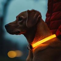 China LED Dog Collar Waterproof Flashing Light Up Night Walking Adjustable USB Rechargeable for sale