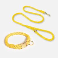 China Multicolor Cotton Rope Dog Leash Collar Harness Set 1.3cm x 120cm Heavy Duty Training Equipment for sale