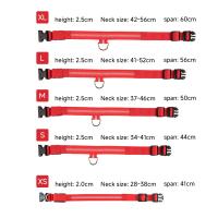 China LED Dog Collar Waterproof Flashing Light Up Night Walking Adjustable USB Rechargeable for sale