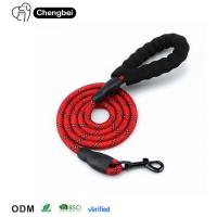 China Custom Color Nylon Dog Leash with Padded Handle - 150cm & 200cm Lengths, 0.3kg Weight for sale