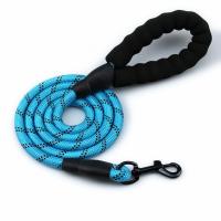 China Custom Color Nylon Dog Leash with Padded Handle - 150cm & 200cm Lengths, 0.3kg Weight for sale