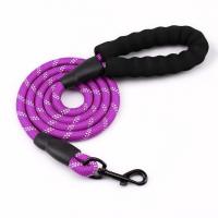 China Custom Color Nylon Dog Leash with Padded Handle - 150cm & 200cm Lengths, 0.3kg Weight for sale