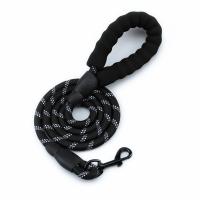 China Custom Color Nylon Dog Leash with Padded Handle - 150cm & 200cm Lengths, 0.3kg Weight for sale