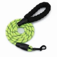 China Custom Color Nylon Dog Leash with Padded Handle - 150cm & 200cm Lengths, 0.3kg Weight for sale