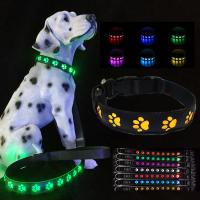 China Rechargeable LED Dog Leash with USB Charging - 0.65kg Nylon Construction in XS,S,M,L Sizes for sale
