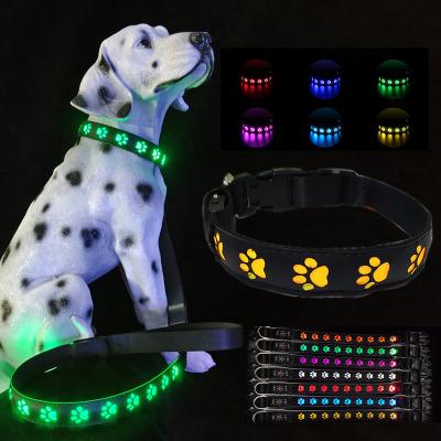 China Rechargeable LED Dog Leash with USB Charging - 0.65kg Nylon Construction in XS,S,M,L Sizes for sale