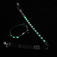 China Rechargeable LED Dog Leash with USB Charging - 0.65kg Nylon Construction in XS,S,M,L Sizes for sale