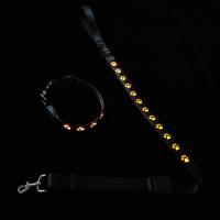 China Rechargeable LED Dog Leash with USB Charging - 0.65kg Nylon Construction in XS,S,M,L Sizes for sale