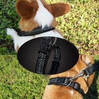China Custom LED Light Up Dog Collar Nylon Flashing Luminous Safety Pet Collar S M L for sale