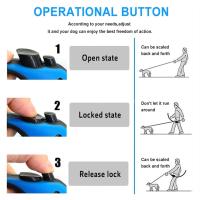 China Heavy Duty Retractable Dog Leash with 5m Adjustable Length, 200kg Tension Test & OEM Customization for sale