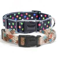 China Polyester Martingale Dog Collar with Metal Buckle - Custom Gold Sublimation in XS/S/M/L Sizes - MOQ 100 Pieces for sale