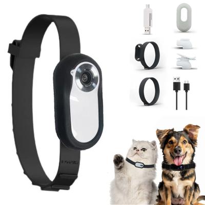 China Outdoor Sports Pet Camera Collar with 1920×1080 HD Video and 0.96-Inch Screen for Cats and Dogs for sale