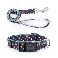China Polyester Martingale Dog Collar with Metal Buckle - Custom Gold Sublimation in XS/S/M/L Sizes - MOQ 100 Pieces for sale