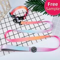 China Gradient Waterproof Dog Leash Set with 36cm Handle - Blue Pink Purple Collar and Lead for Puppies for sale
