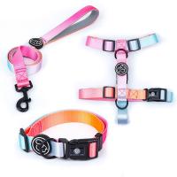 China Gradient Waterproof Dog Leash Set with 36cm Handle - Blue Pink Purple Collar and Lead for Puppies for sale