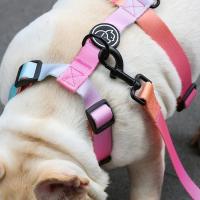 China Gradient Waterproof Dog Leash Set with 36cm Handle - Blue Pink Purple Collar and Lead for Puppies for sale