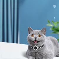 China Mini Magnetic Thumb Action Camera Pet Harness with Wireless HD Video Recording in S-M-L Sizes for sale