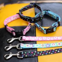 China Custom Eco-Friendly Dog Collar & Leash Set - 4 Sizes (XS-L) with 100 Pcs MOQ and Sublimation Printing for sale