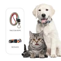 China OEM Sublimation Dog Leash 150cm Length with Neoprene Padded Handle - Custom Print & Reflective Stitching for sale