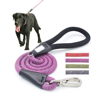 China Custom Logo Nylon Dog Leash with Double Rope Design - XS/S/M/L Sizes, 100Pcs MOQ, 7-15 Days Shipping for sale