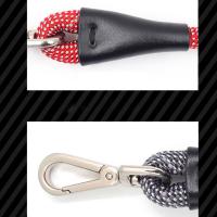 China Custom Logo Nylon Dog Leash with Double Rope Design - XS/S/M/L Sizes, 100Pcs MOQ, 7-15 Days Shipping for sale