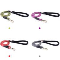 China Custom Logo Nylon Dog Leash with Double Rope Design - XS/S/M/L Sizes, 100Pcs MOQ, 7-15 Days Shipping for sale