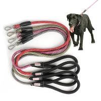China Custom Logo Nylon Dog Leash with Double Rope Design - XS/S/M/L Sizes, 100Pcs MOQ, 7-15 Days Shipping for sale