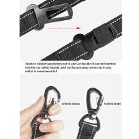 China Custom Nylon Dog Leash 4 Ft with Metal Buckle Lock Handle Reflective Safety for sale