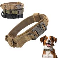 China Custom Logo Tactical Dog Collar with Metal Buckle - 4 Sizes (XS, S, M, L) - 100 Pcs MOQ for sale