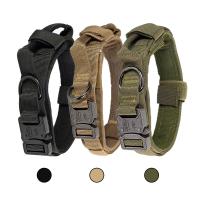 China Custom Logo Tactical Dog Collar with Metal Buckle - 4 Sizes (XS, S, M, L) - 100 Pcs MOQ for sale