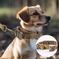 China Custom Logo Tactical Dog Collar with Metal Buckle - 4 Sizes (XS, S, M, L) - 100 Pcs MOQ for sale