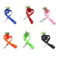 China Custom Nylon Webbing Dog Leash with Logo Printing - 4 Size Options, 7 Color Choices, 100pcs MOQ for sale
