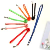 China Custom Nylon Webbing Dog Leash with Logo Printing - 4 Size Options, 7 Color Choices, 100pcs MOQ for sale